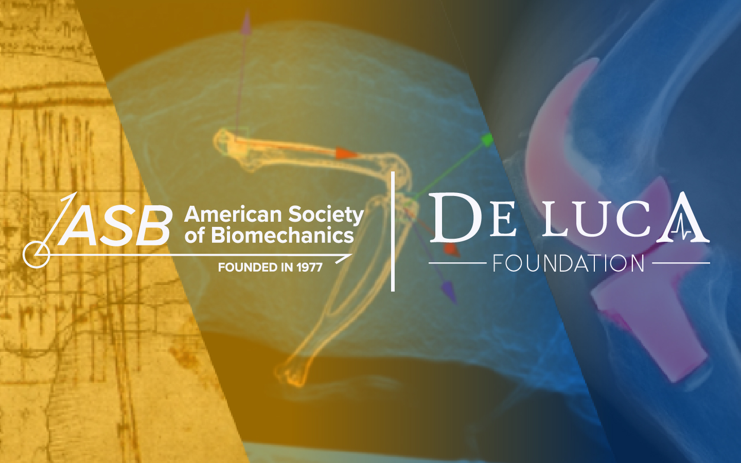 Donation from De Luca Foundation - American Society of Biomechanics